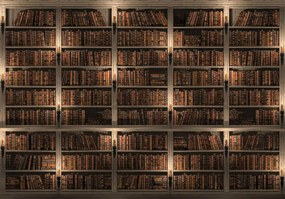 Fototapeta - Knihovna plná knih (152,5x104 cm)