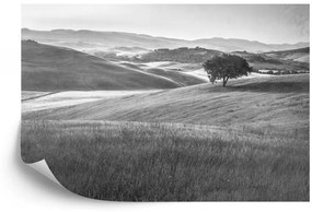 Fototapeta Rolling Hills Faded Vintage V Černé A Bílé Hladký vinyl 152.5x104