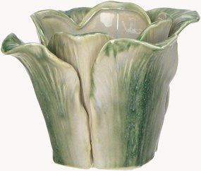 Obal na květináč Cabbage
