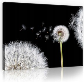 Obraz 80x60 Jemnost foukače v minimalistické ložnici