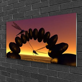 Obraz na skle Vážky Kameny Umění 125x50 cm