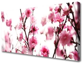 Obraz na plátně Větve Květiny Rostlina 100x50 cm