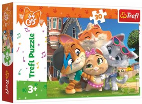 Trefl Puzzle Přátelství v zemi koček/44 cats 27x20cm 30 dílků v krabičce 21x14x4cm