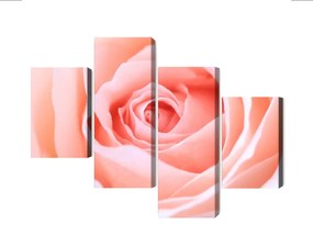 Vícedílný obraz Pastelová Růže Na 3D Makro Měřítku Nedostatek Nedostatek Přírodní plátno 160x100