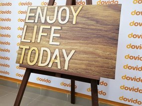 Obraz s citací - Enjoy life today