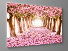 Liox Obraz romantické květy stromů Rozměr: 90 x 60 cm