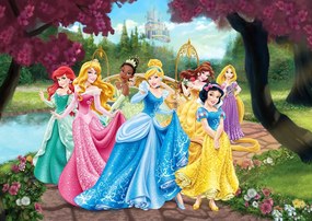 Dětská vliesová fototapeta na zed' Princezny v Lese, Disney | 155 x 110 cm | DFTDNM 5217