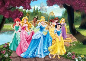Dětská vliesová fototapeta na zed' Princezny v Lese, Disney | 155 x 110 cm | DFTDNM 5217