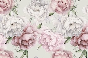 Fototapeta Pivoňkové Květiny V Pastelových Barvách Samolepící tapety 270x180