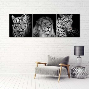 Gario Sada obrazů na plátně Černobílá dravá zvířata - 3 dílná Rozměry: 90 x 30 cm