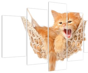 Obraz kočky v síti (150x105 cm)