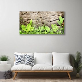 Plexisklo-obraz Tráva Listy Květiny 100x50 cm