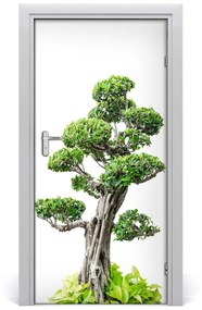Fototapeta samolepící bonsai 85x205 cm
