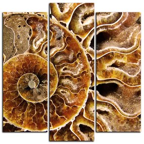 Obraz na plátně - Textura fosílie - čtverec 3174C (105x105 cm)