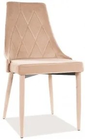 Casarredo Jídelní čalouněná židle REX velvet béžová