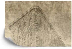 Fototapeta New York City Grunge Ii Sepia Hladký vinyl 270x180