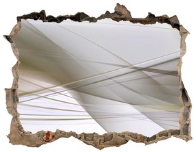 Wallmuralia Díra 3D fototapeta nálepka Abstrakce 95x64 cm