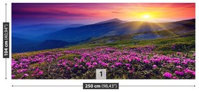 Fototapeta Rhododendron Květiny 104x70