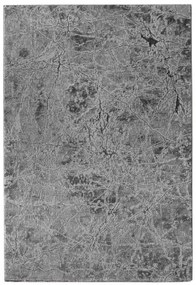 Kusový koberec ELITE 4355 grey 200x290 cm
