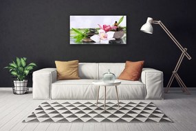 Obraz na plátně Orchidej Kameny Bambus 120x60 cm