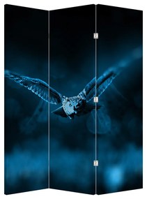 Paraván - Letící sova (126x170 cm)