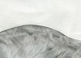 Breno Kusový koberec CLAIRE NEW šedý, 60x90 cm, Šedá