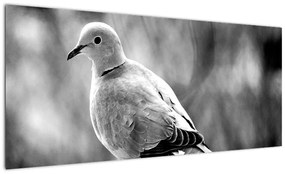Černobílý obraz ptáka (100x40cm)