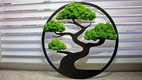 OznTo Nástěnný strom ve tvaru bonsaje více druhů,3velikosti Barva mechu: světle zelený, Barva rámečku: Přírodní, Rozměr rámečku: Průměr 40cm