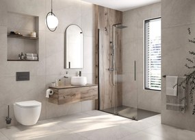 Deante Toilet bowl, with seat, rimless