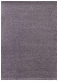 Koberce Breno Kusový koberec SPRING lila, Fialová, 120 x 170 cm