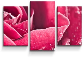 Sablio Obraz - 3-dílný Detail růže - 75x50 cm