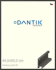 DANTIK rámeček 40x50 | ALU profil 6035 Dýha černá (Plexi Čiré)