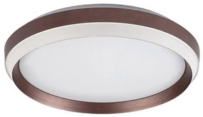 Rabalux 71159 - LED Stropní svítidlo FONTANA LED/24W/230V 3000K