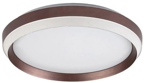 Rabalux 71159 - LED Stropní svítidlo FONTANA LED/24W/230V 3000K