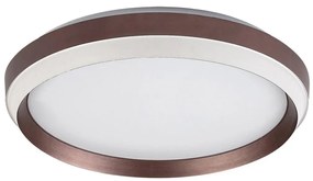 Rabalux Rabalux 71159 - LED Stropní svítidlo FONTANA LED/24W/230V 3000K RL71159