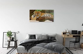 Obraz na skle tiger tree 140x70 cm