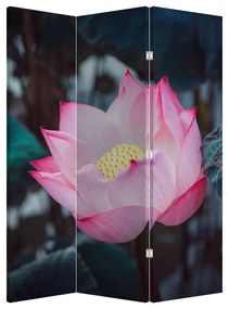Paraván - Růžová květina (126x170 cm)