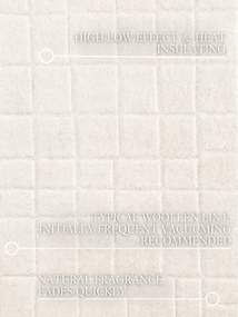Krémový vlněný koberec 160x230 cm Kenso – Villeroy&amp;Boch
