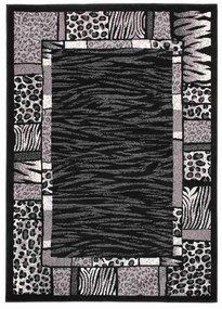 Kusový koberec PP Petro černý 250x350cm