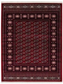 Kusový koberec Hayat 303 red Varianta: 120x170 cm