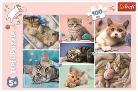Trefl - Puzzle - V kočičím světě / 100 dílků / 41 x 27.8 cm / věk 5+