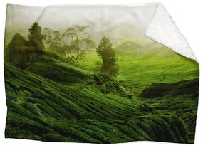 IMPAR Fleecová deka Zelené pole 150x120 cm (Rozměr : 150 x 120 cm, Podšití beránkem: ANO)