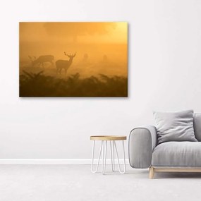 Obraz na plátně Jelen v mlze - 90x60 cm