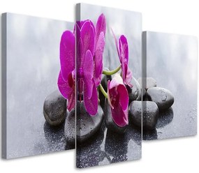 Gario Obraz na plátně Orchidej a černé kameny - 3 dílný Rozměry: 60 x 40 cm