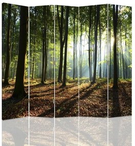 Ozdobný paraván Lesní stromy Krajina - 180x170 cm, pětidílný, klasický paraván
