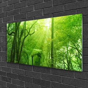 Obraz na skle Stromy Příroda 120x60 cm