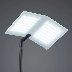 BANKAMP Book stojací lampa LED, černá