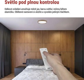 EMOS Stropní LED svítidlo ILVI s dekorem dřeva 400mm 30W CCT s DO ZM5160