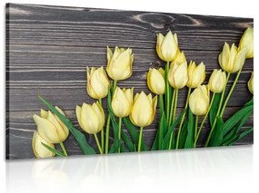 Obraz očarující žluté tulipány na dřevěném podkladě - 60x40 cm