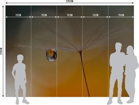 Fototapeta na míru Pampeliškové Chmýříčko | Vliesová fototapeta na zed' | DFTNXXL3020